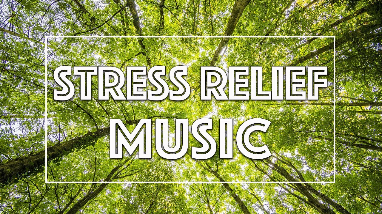 If You Are Stress Listen To This: Stress Relief Music, Relaxing Music ...