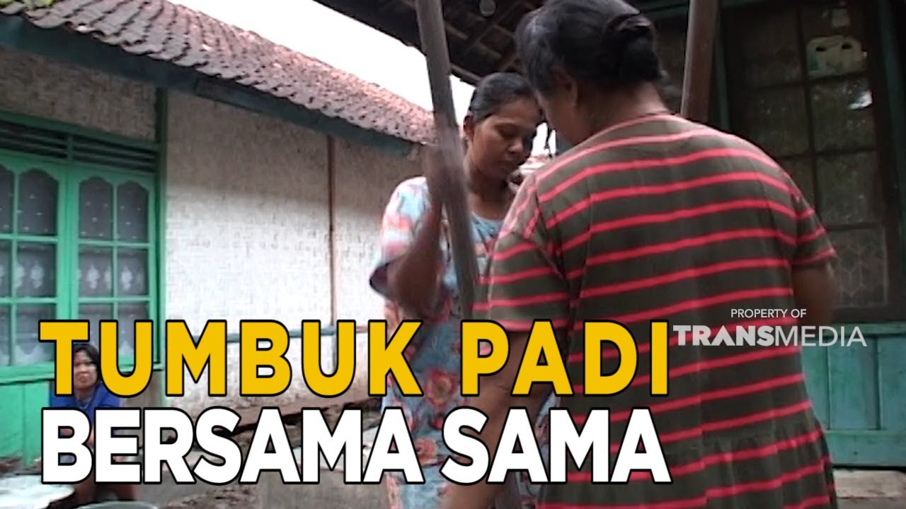 Tradisi menumbuk padi bersama untuk dijadikan tepung beras | JELANG ...