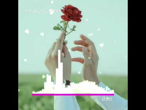 WhatsApp üçün yeni status video və mahnı 2019 mp3
