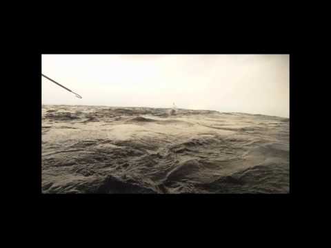 Larva Lures Prototype Testing Vanuatu Mahi Mahi - Dolphin Fish - YouTube