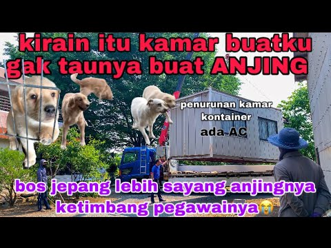SADISS !! BOS JEPANG LEBIH SAYANG ANJING KETIMBANG KENSHUSEINYA, ,,#magangjepang #tokutei ginou