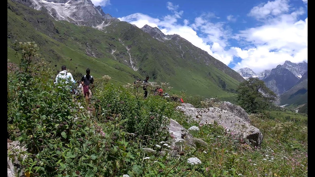 Pulna village to Ghagaria village track glimpse 2 - YouTube