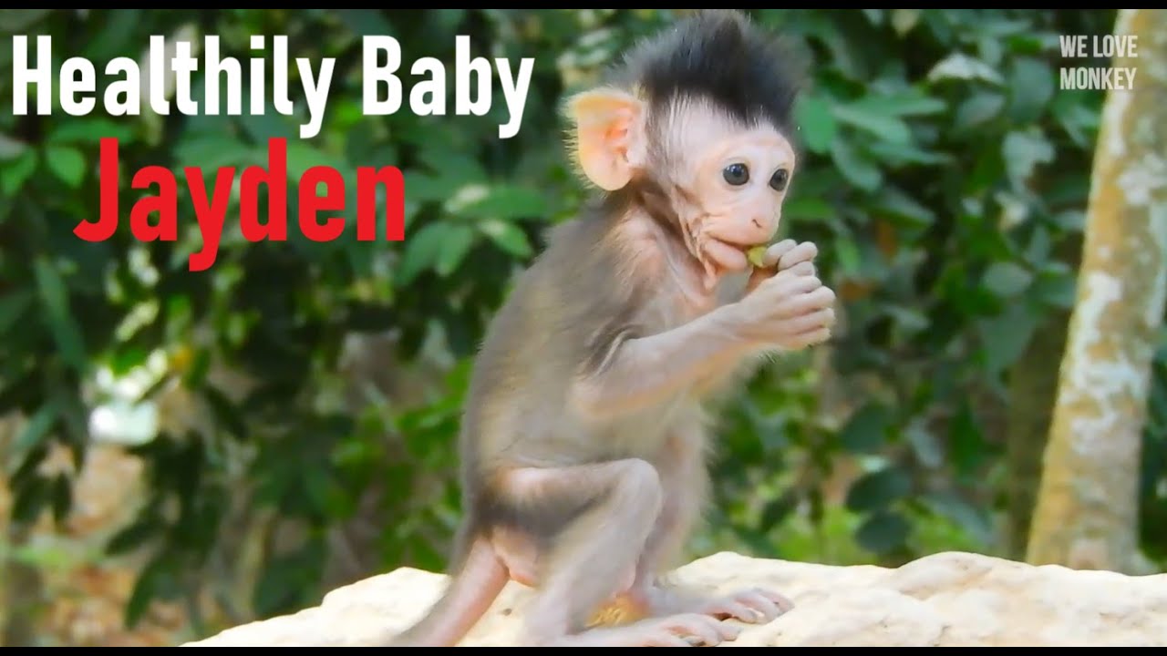 Jayden Today is 1 Month Old, Jayden Was Born 27/11/2019 Now Jayden is ...