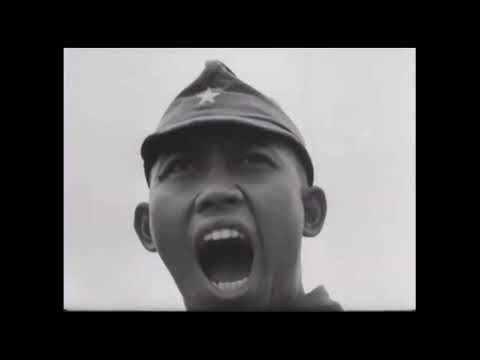 Sejarah \