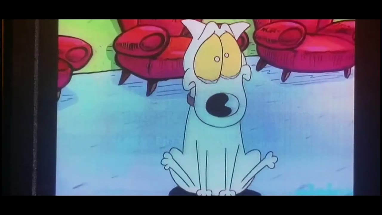Mr.Carburretor kicks rocko pet dog (spunky) out and make him cry - YouTube