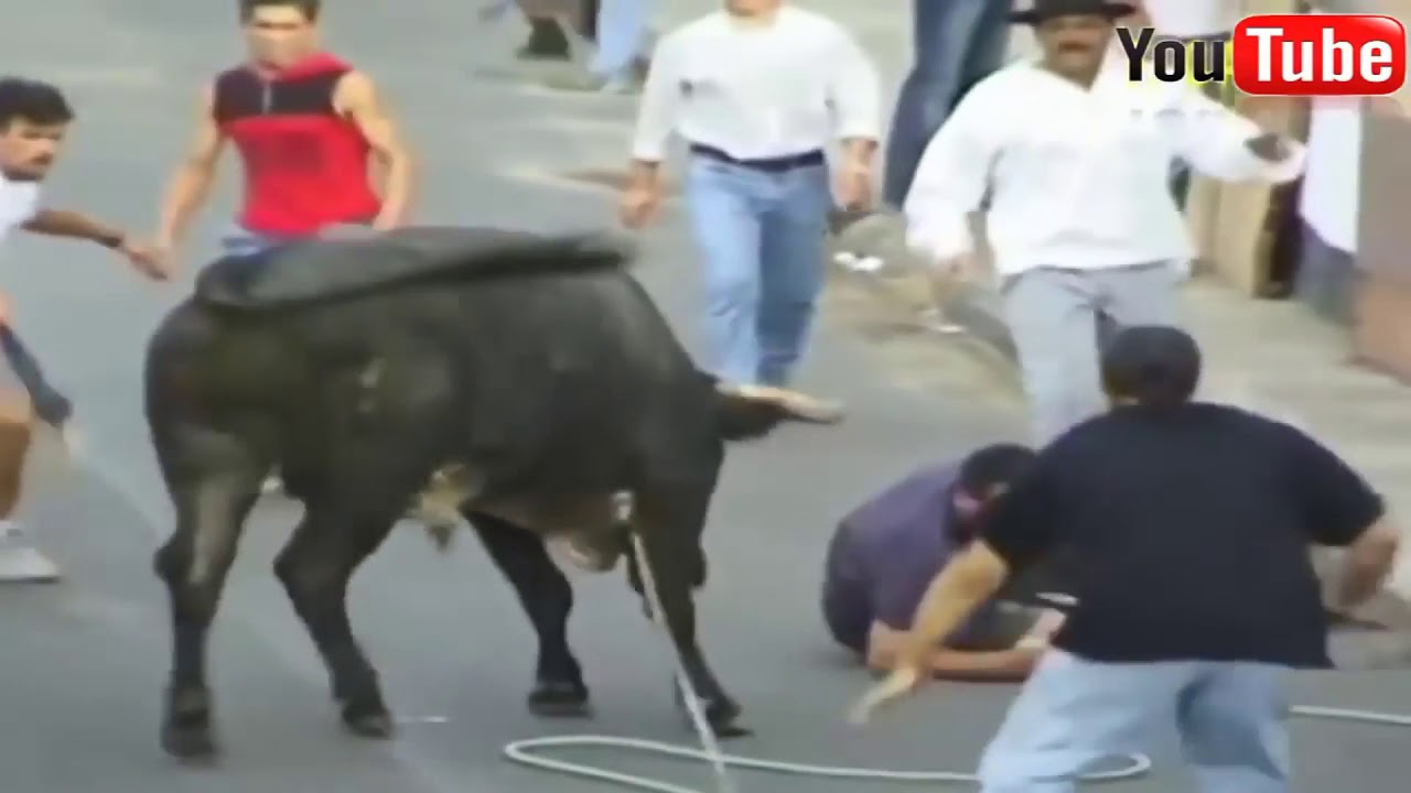 Best funny videos 2018__Most awesome Bullfighting Festival__Funny Crazy ...