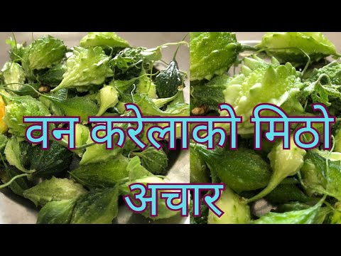 वन करेलाकाे मिठो अचार कसरी बनाउने ? |Ban karela ko achar |Anita kitchen ...