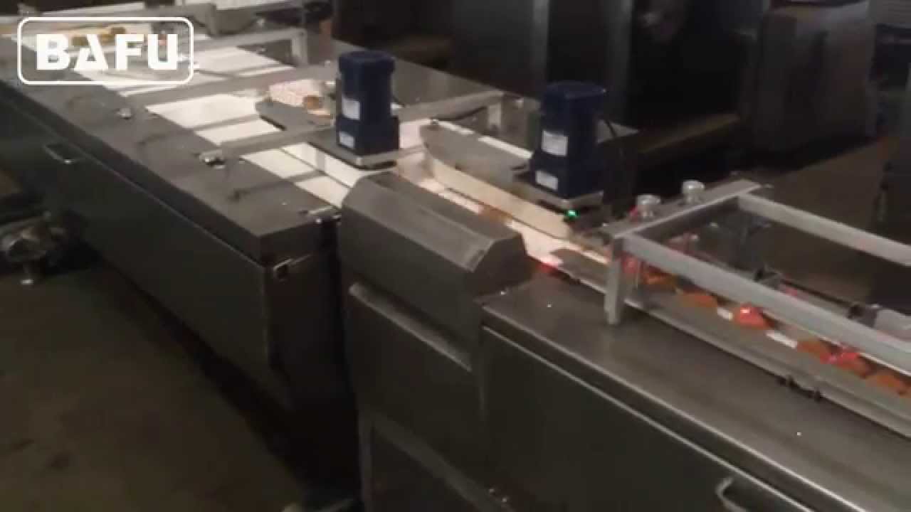 high speed flow wrapper, horizontal flow wrapper,flow wrapping machine - YouTube