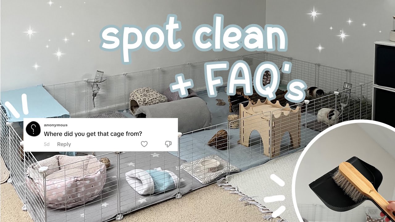SPOT CLEANING + ANSWERING FAQ’S | First Video - YouTube