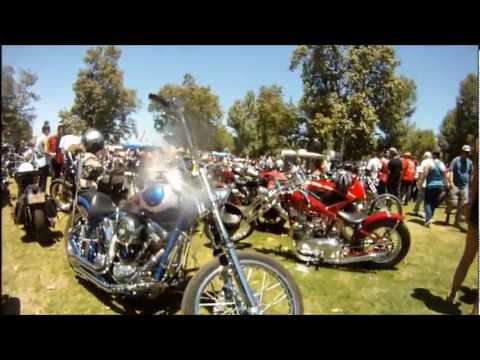 BORN FREE Chopper Show - YouTube