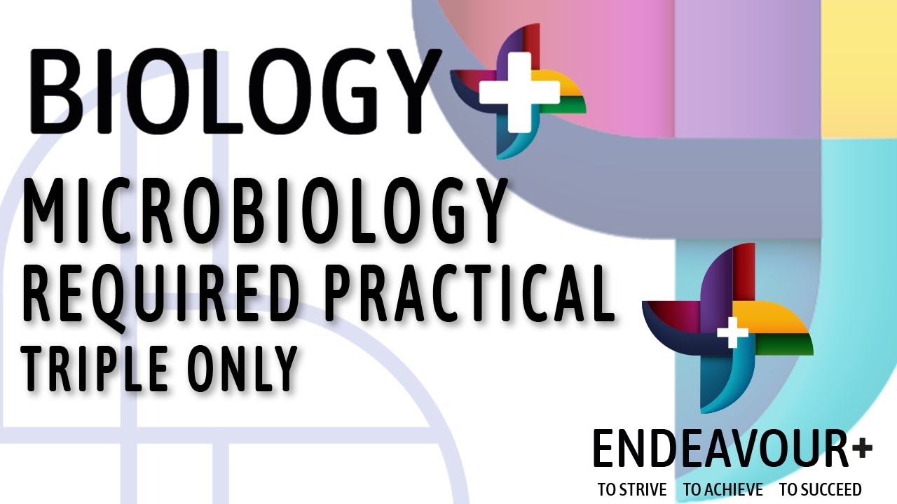 BIOL1: Microbiology Required Practical (Triple Only) - YouTube