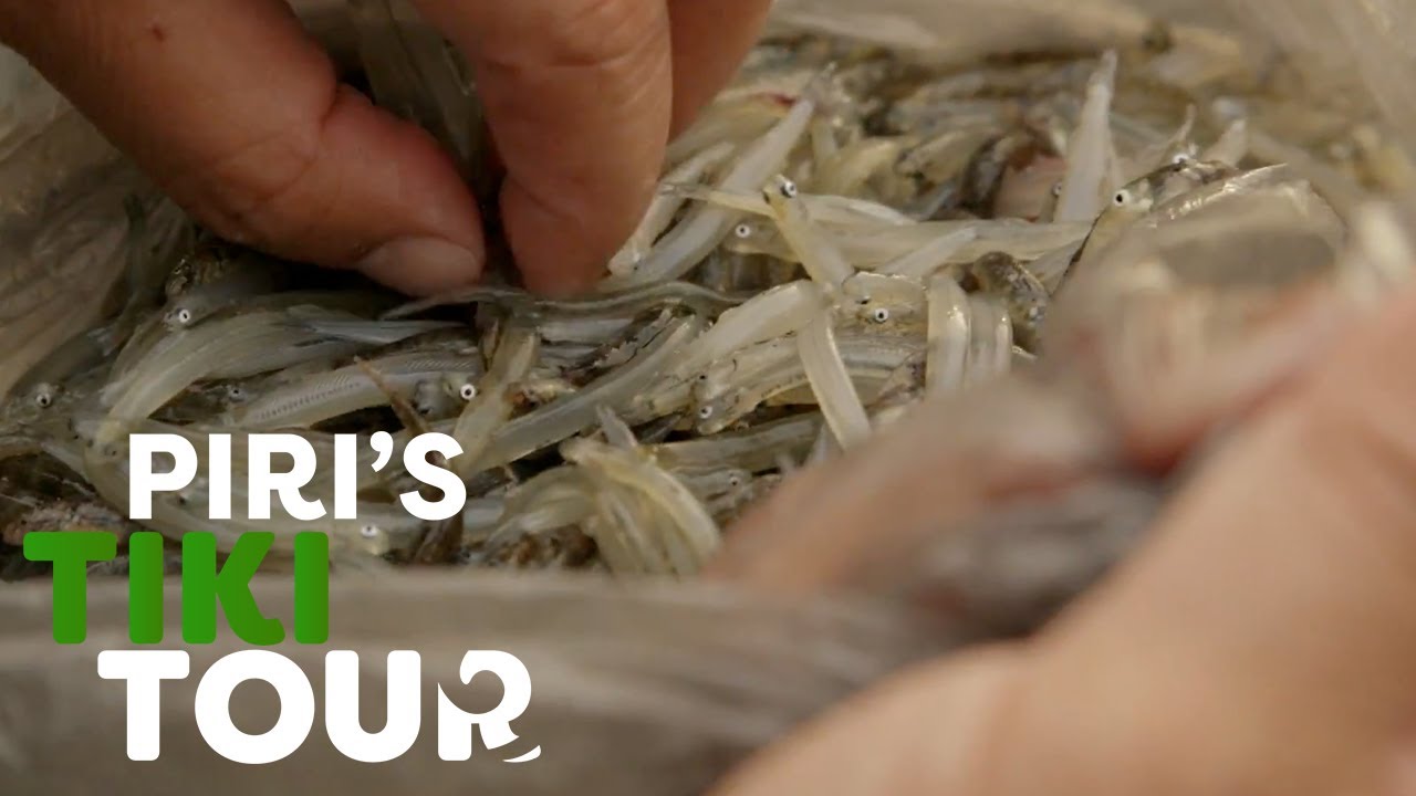 Whitebaiting on the West Coast, New Zealand - Piri's Tiki Tour - S1 Ep ...