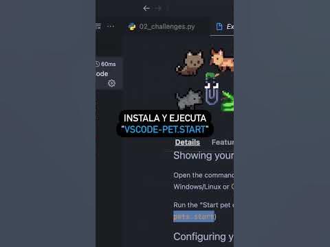 ¡Añade a TU MASCOTA en Visual Studio Code! - YouTube