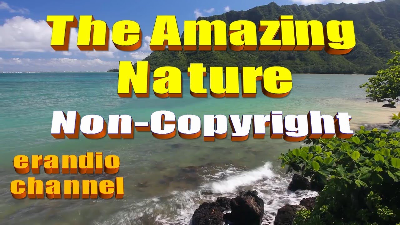Non-Copyright / The Amazing Nature For Free background / - YouTube