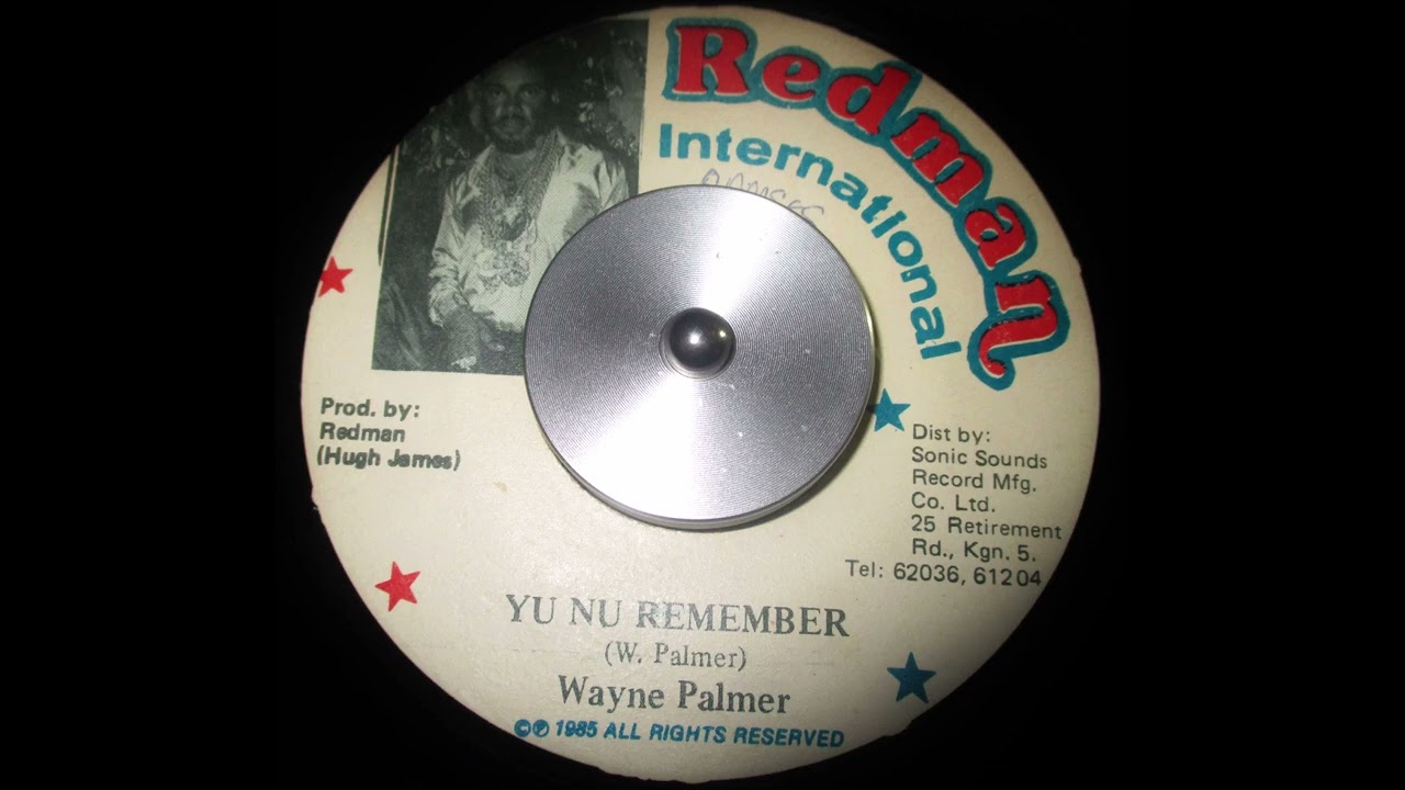 Wayne Palmer - Yu Nu Remember - YouTube