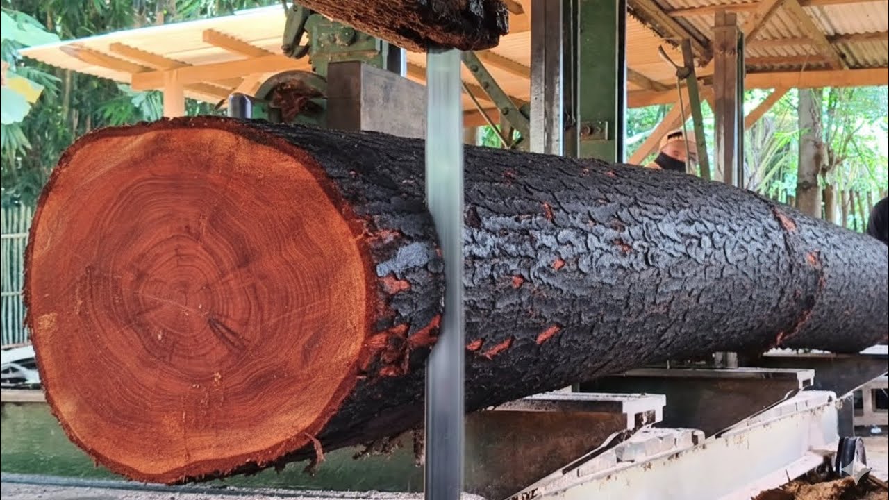 BIG! Cutting Long and Large Mahogany Wood at the sawmill - YouTube