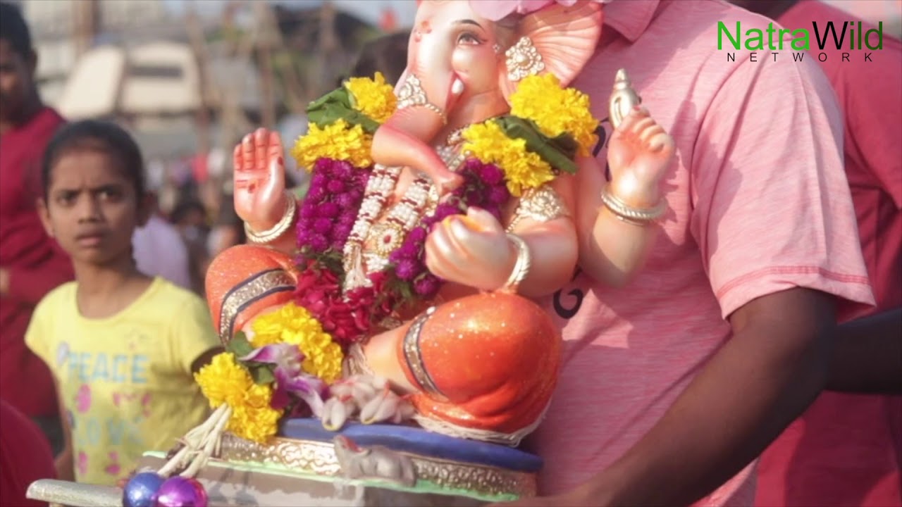 Beat Pollution with Bappa | NatraWild | Mission Green Mumbai | Nisha ...
