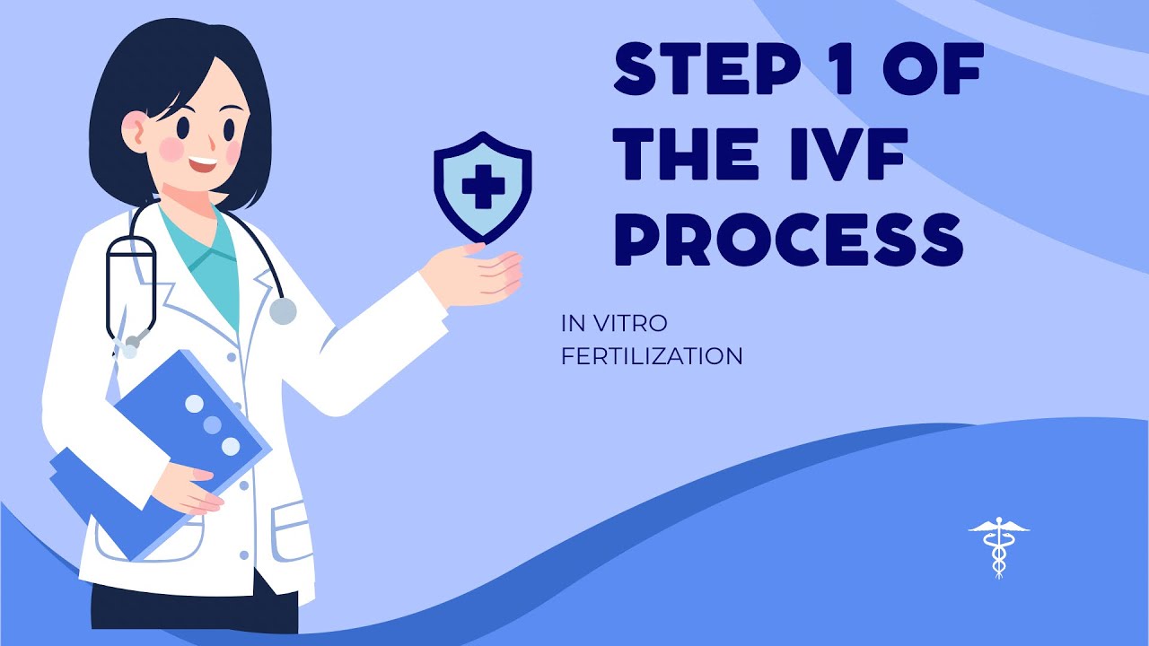 IVF In Vitro Fertilization: The First Step Of IVF ...