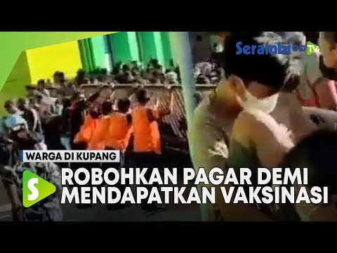 Viral Warga di Kupang Ramai-ramai Robohkan Pagar Demi Mendapatkan Vaksinasi, Petugas Kewalahan