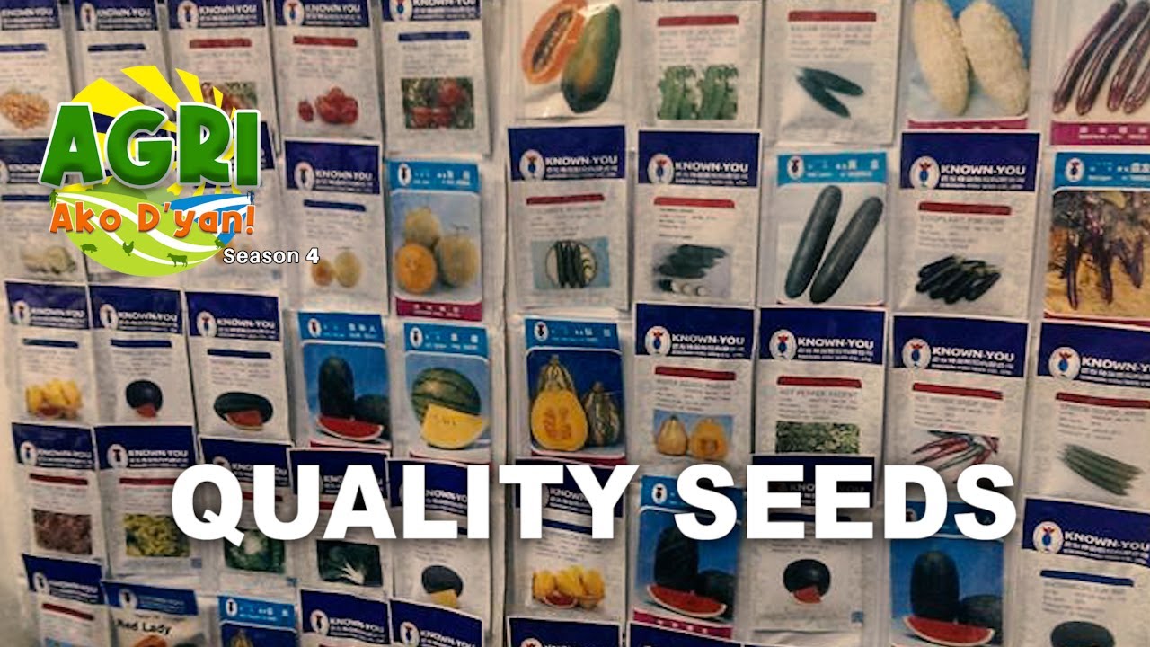 Quality Seeds - YouTube
