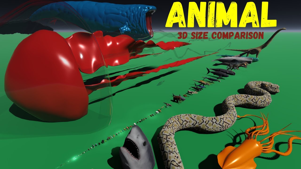 Animal Size Comparison | Real Scale Comparison 🐘 🦁🐅 - YouTube