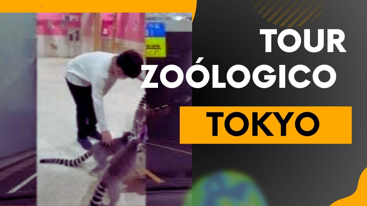 Explorando o Tokyo Aqua City Zoo @soucarlasantana #tokyo #zoo - YouTube