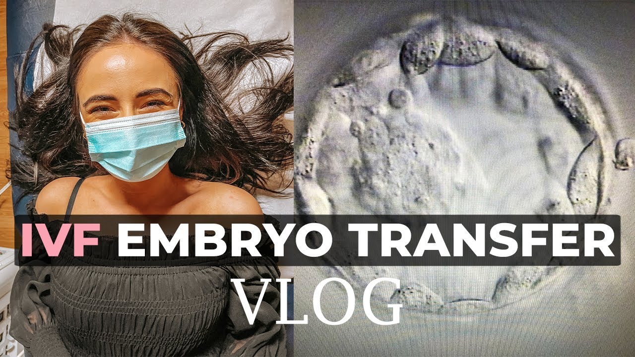 Embryo Transfer VLOG | ICSI Pregnancy - IT WORKS! - YouTube