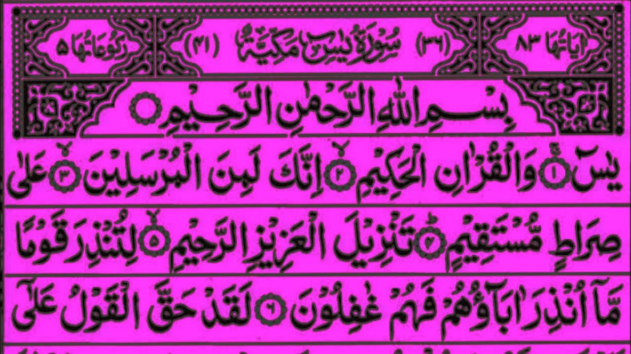 Surah Al Yasin by @Molana_Hafizhabibullah @Princegujjar257 - YouTube