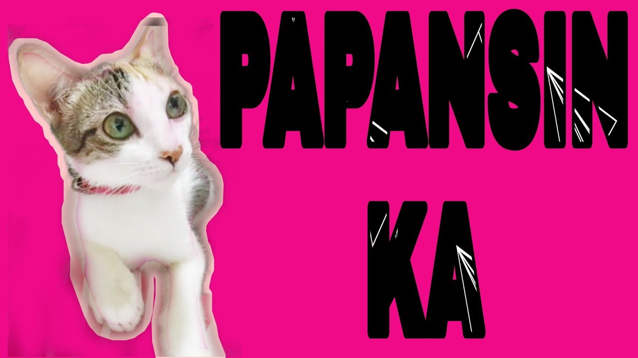 PAPANSIN KA/MINGGAY MIX VLOGS TV - YouTube