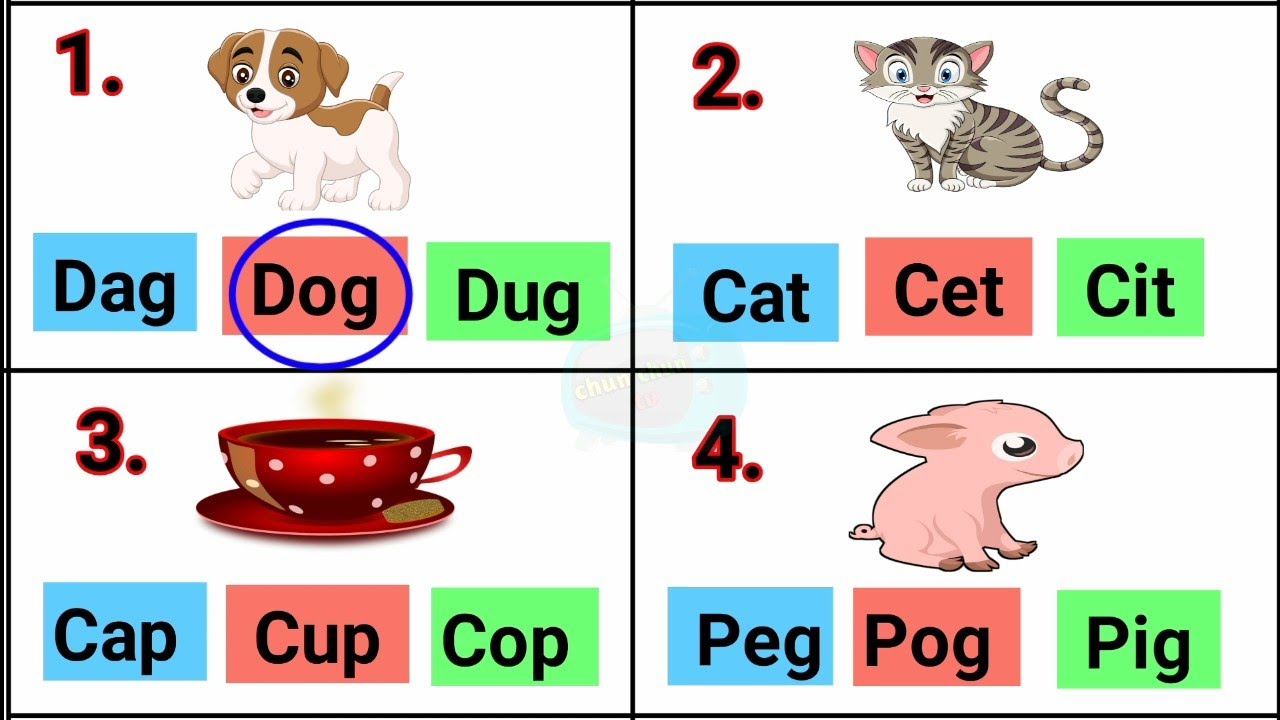 english worksheet/ english spelling for kids/kidsvideo - YouTube