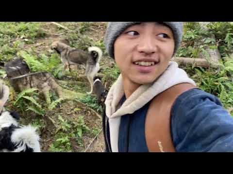 Sikkim life style || Anmol Rai - YouTube