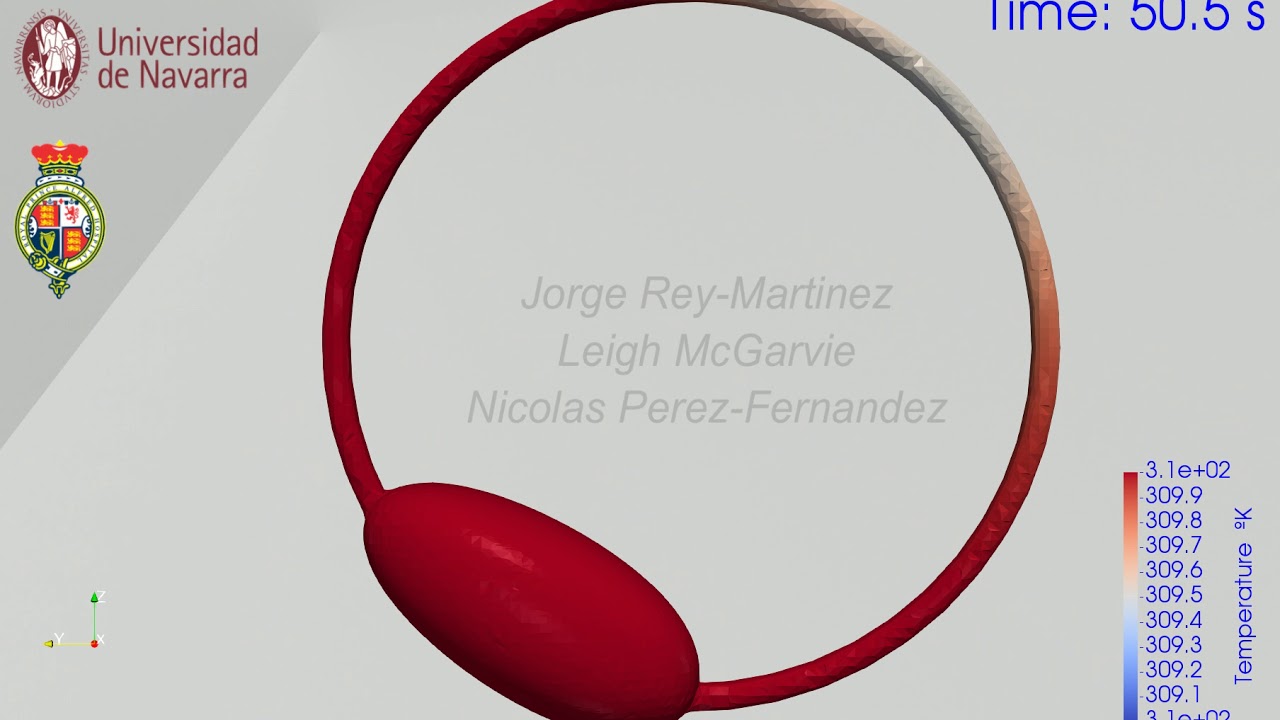 Caloric Test Fluid Dynamics Simulation: Cold water - YouTube