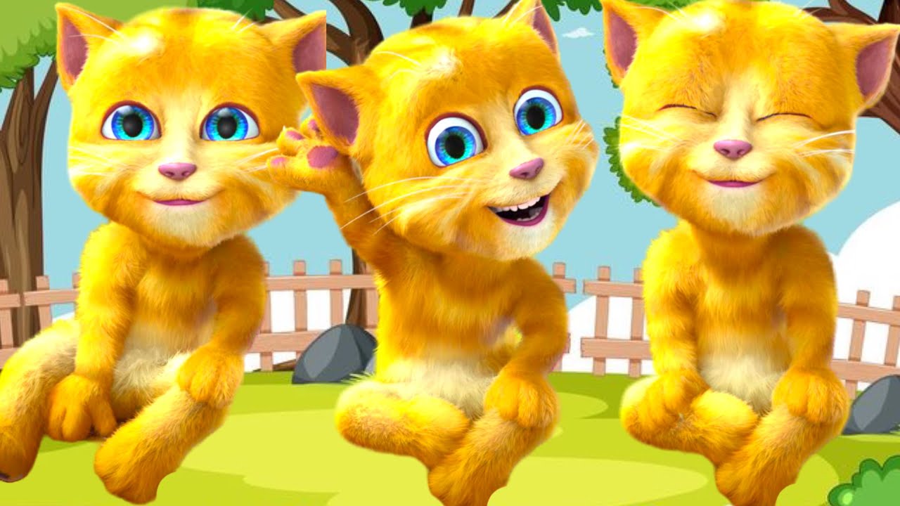 Talking ginger - YouTube