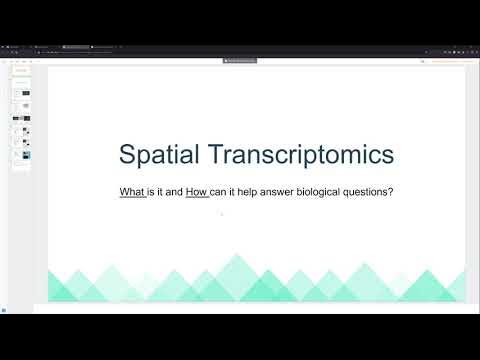Spatial Transcriptomics Intro - Part 1: What Is Spatial Transcriptomics ...