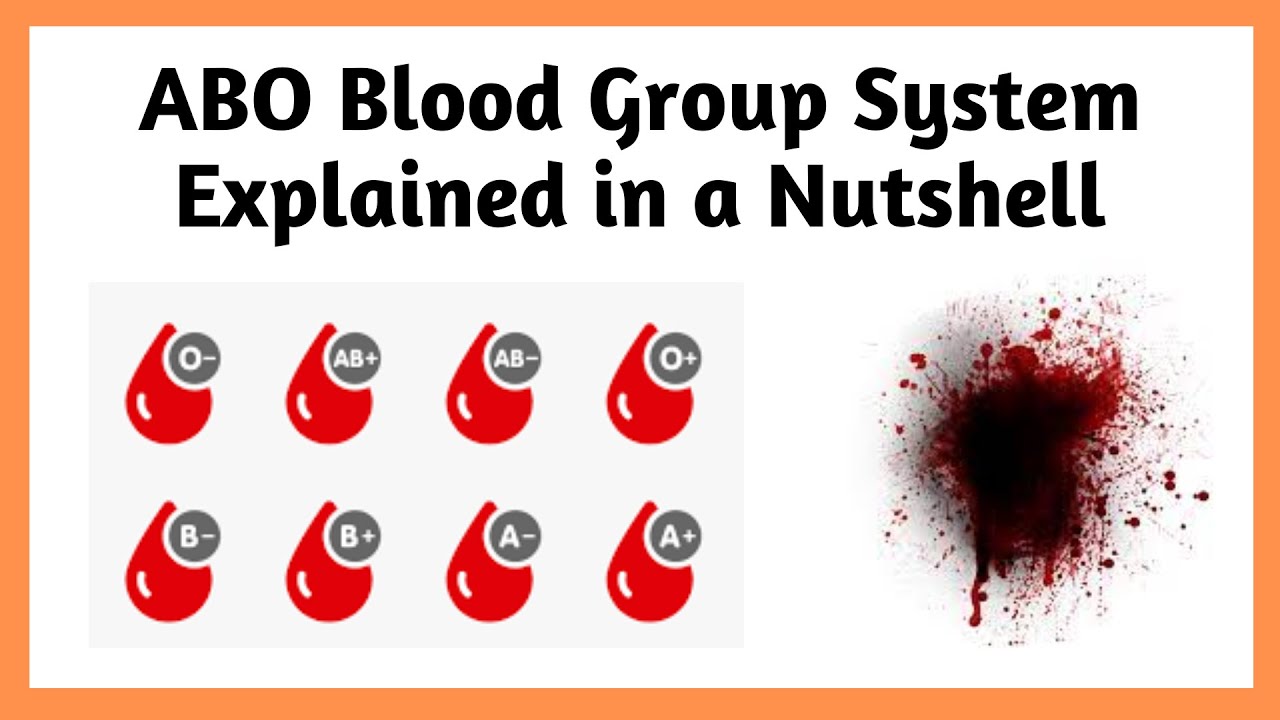 The ABO blood group system || Explained in a Nutshell || - YouTube