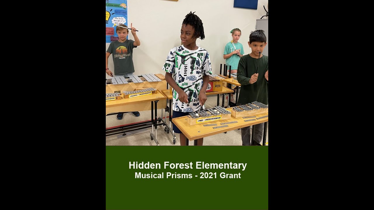 North East Educational Foundation - NEEF - Grant - NEISD Hidden Forest ...