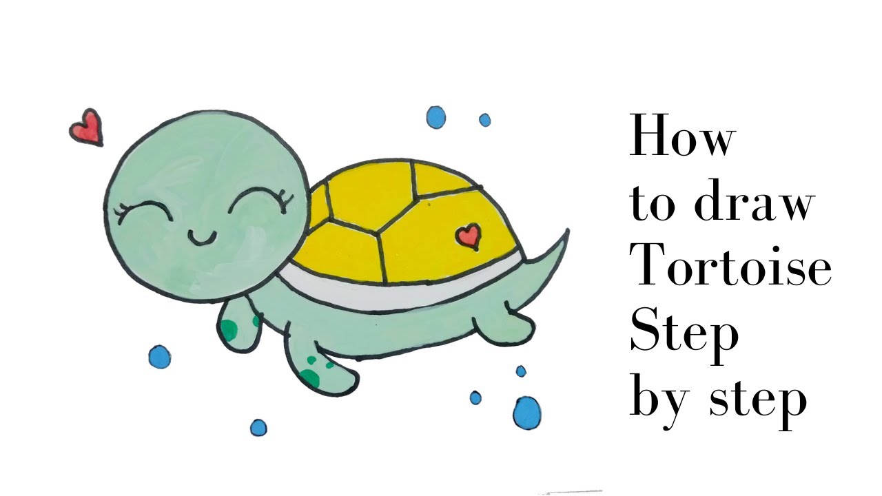 How to draw Tortoise. Step by step - YouTube