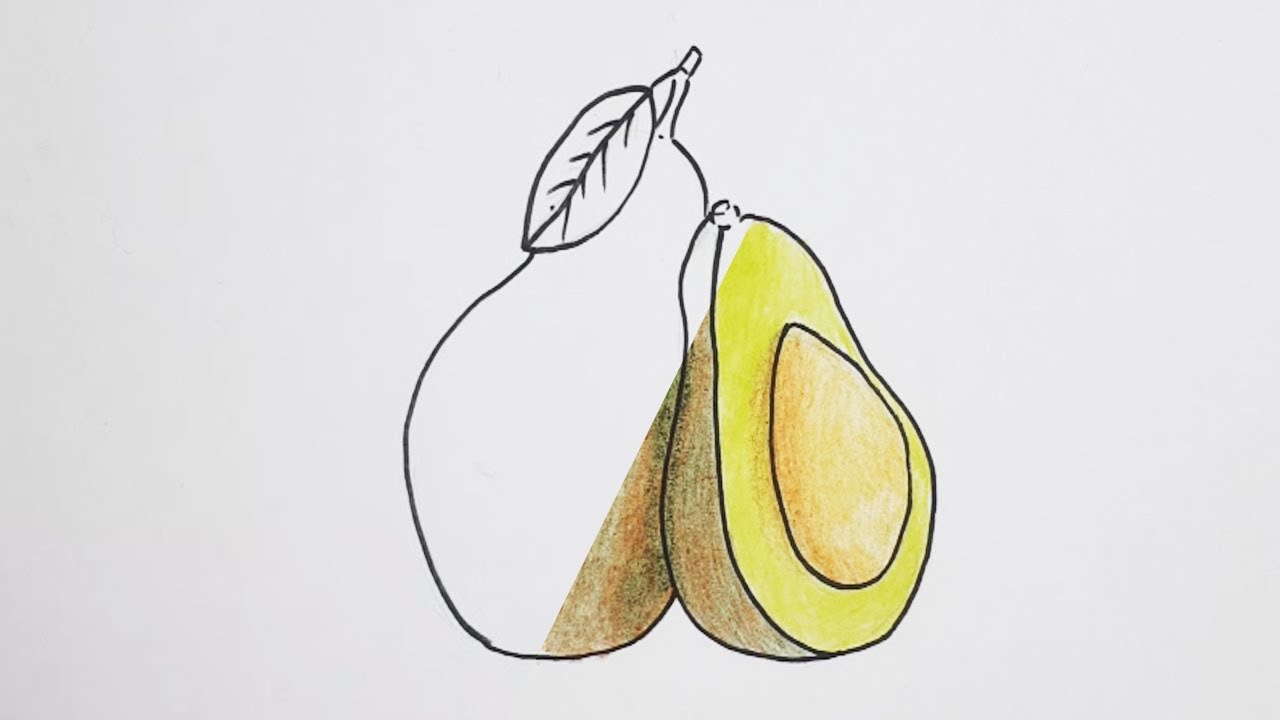 Drawing Easy Avocado || Easy Drawing For Beginner - YouTube