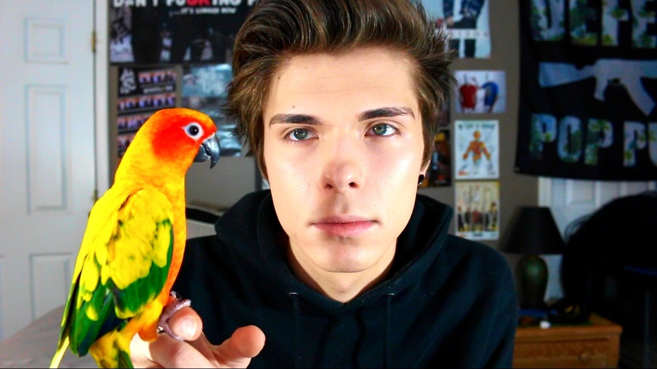 THINGS YOU SHOULD KNOW BEFORE GETTING ANY PET! - YouTube