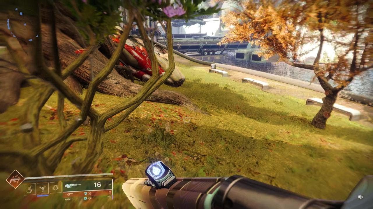 Destiny 2 Bird Drip - YouTube