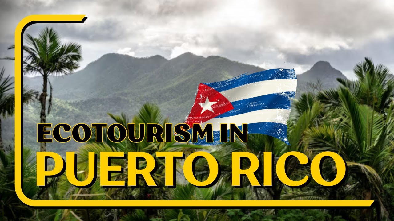 Top 5 Ecotourist Places To Visit In Puerto Rico - YouTube