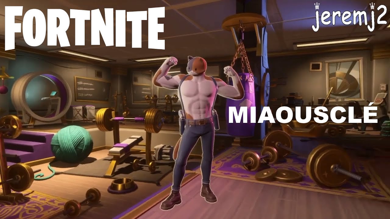 Fortnite - Miaousclé intro - YouTube