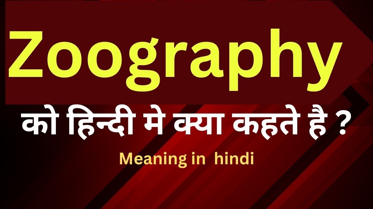 Zoography meaning in hindi || zoography ka matlab kya hota hai || word ...