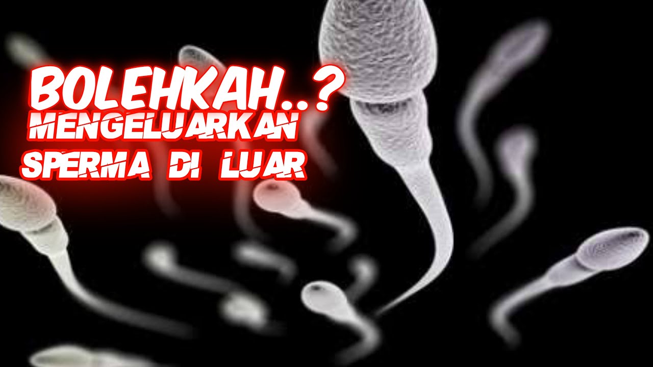 Bolehkah mengeluarkan sperma di luar untuk menunda kehamilan ? [ Simak penjelasanya supaya tau ...