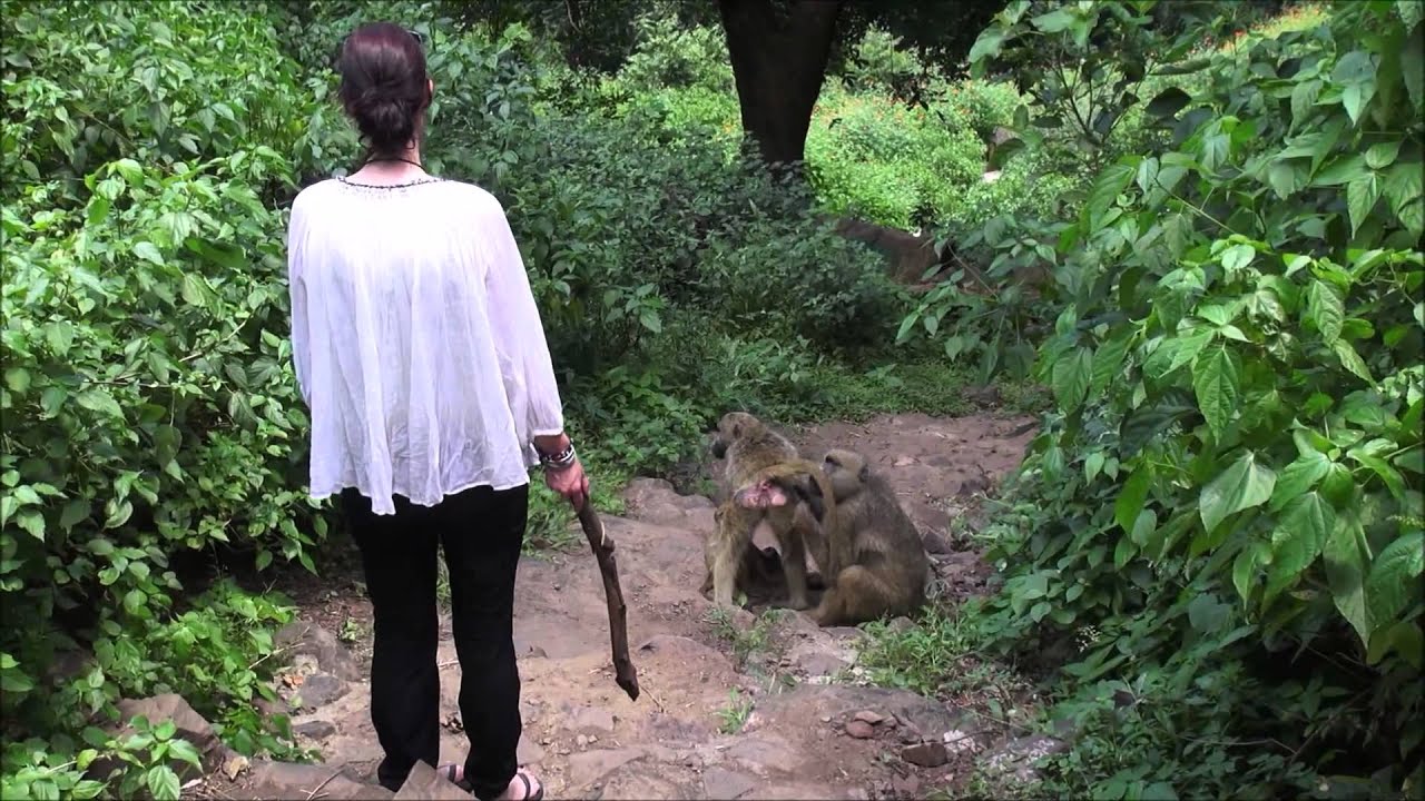 Emma The Monkey Whisperer - YouTube