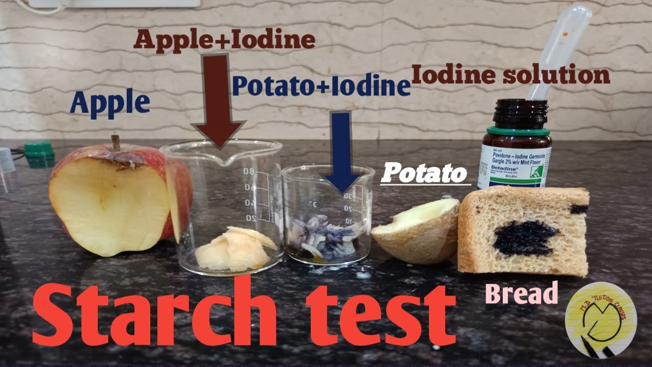 Starch Test at Home || Starch Basic formula|| - YouTube