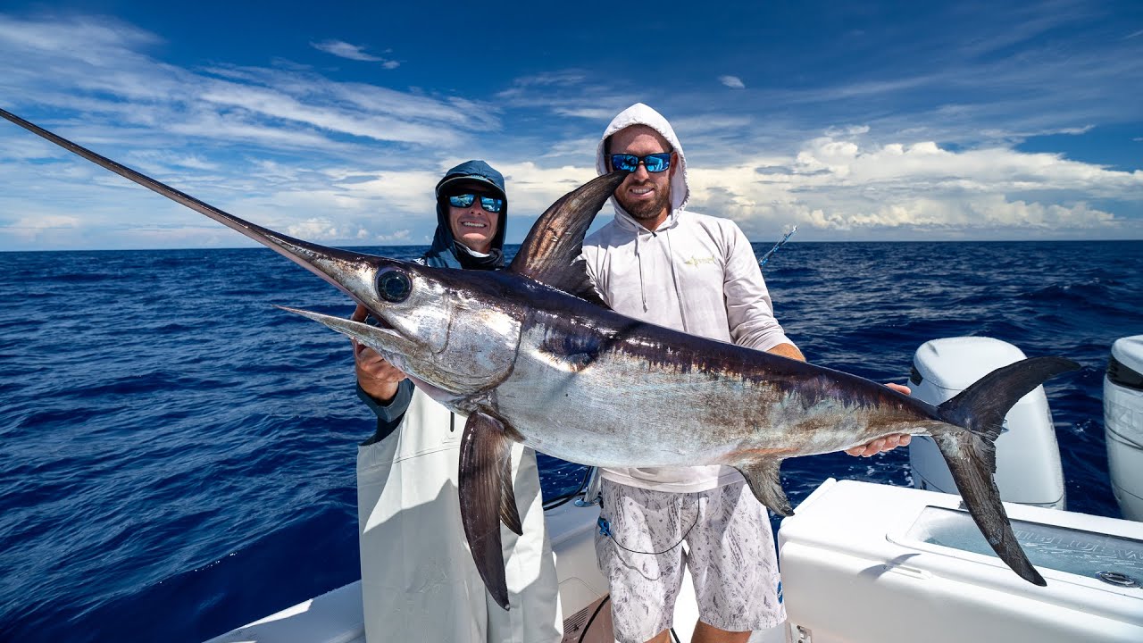 How to Fillet Swordfish! (Broadbill Swordfish) - YouTube