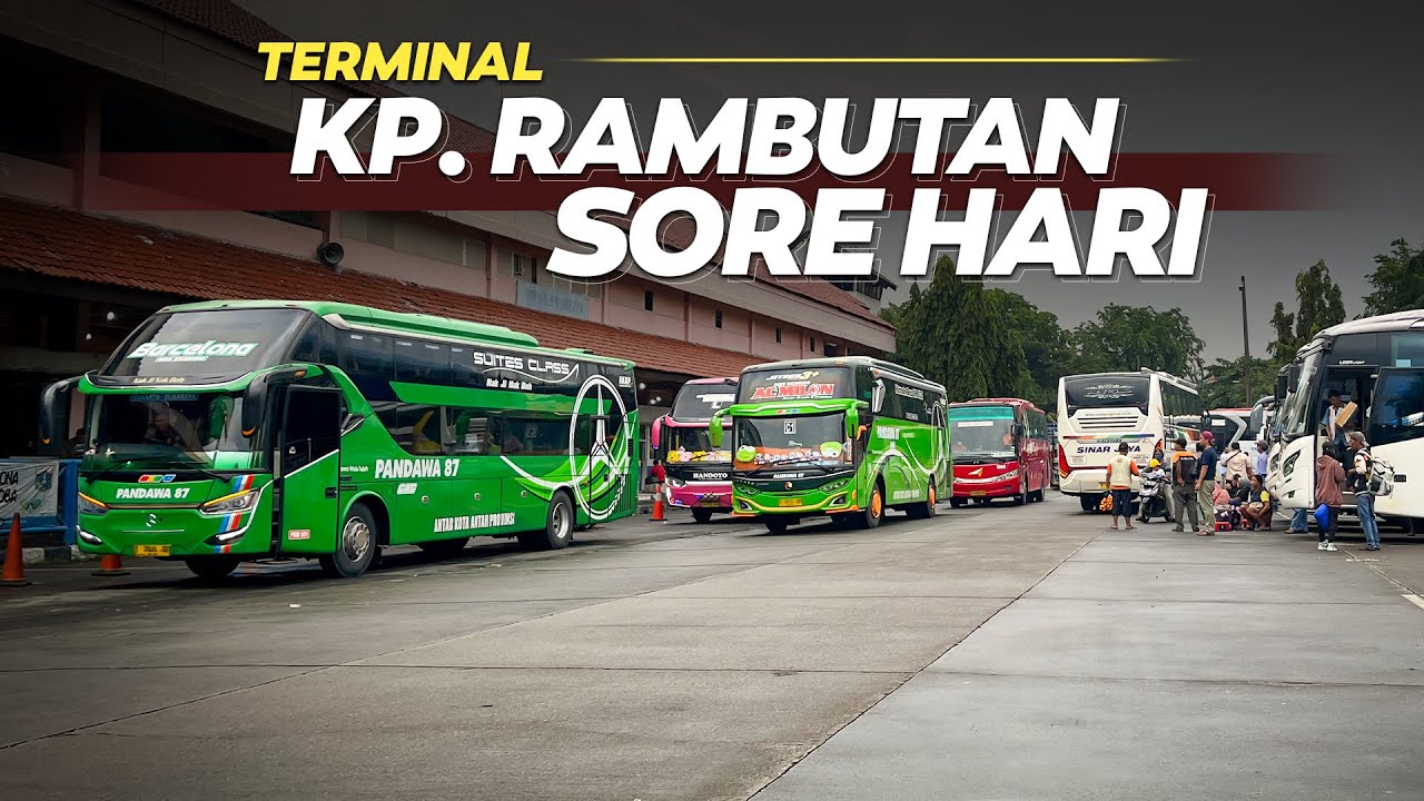 Hunting Bus di Terminal Kp.Rambutan || Minggu, 13 November 2022 - YouTube