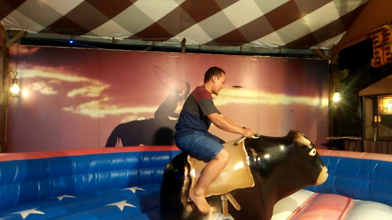 TIGER VS BANTENG RODEO - YouTube