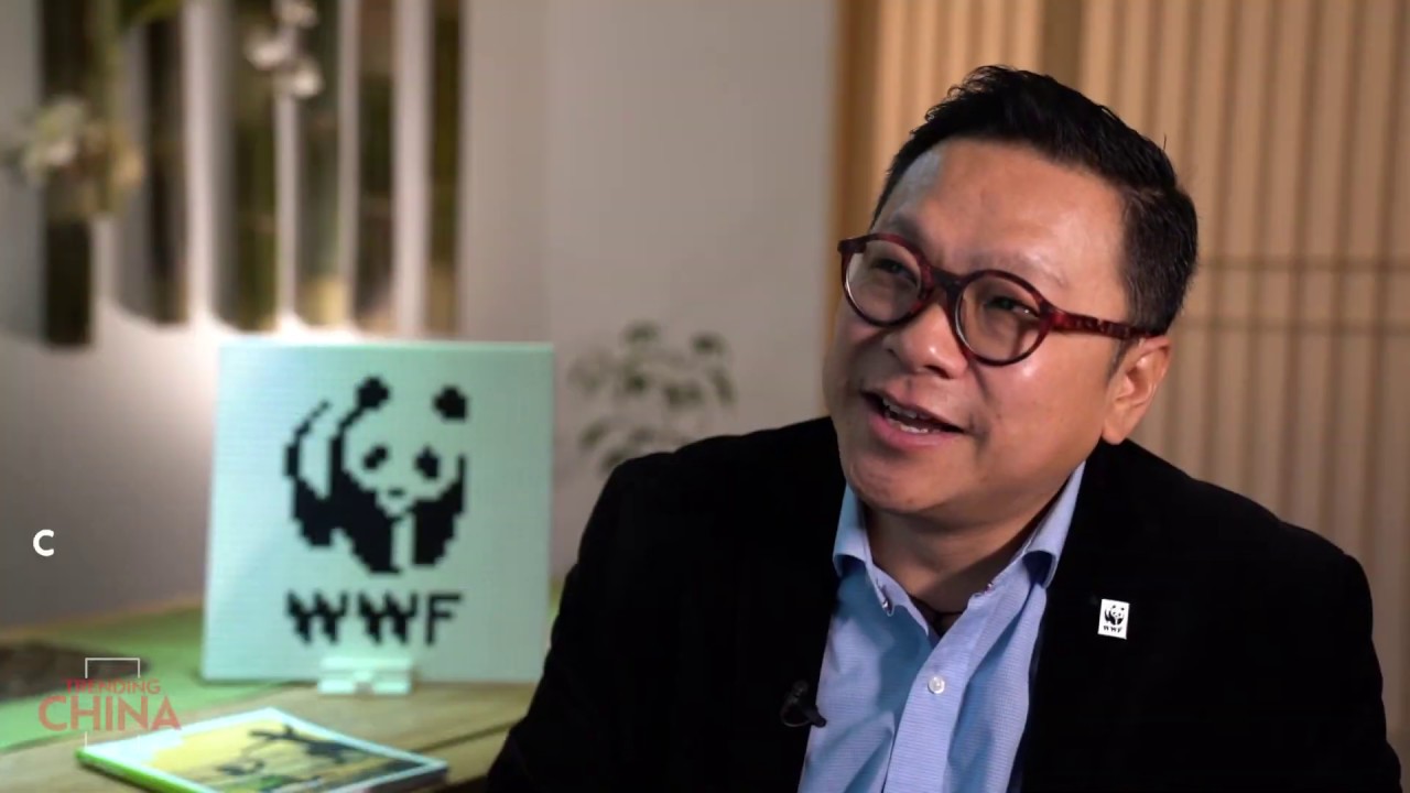 Trending China | WWF China - NOW Is the Time to Make Changes - YouTube